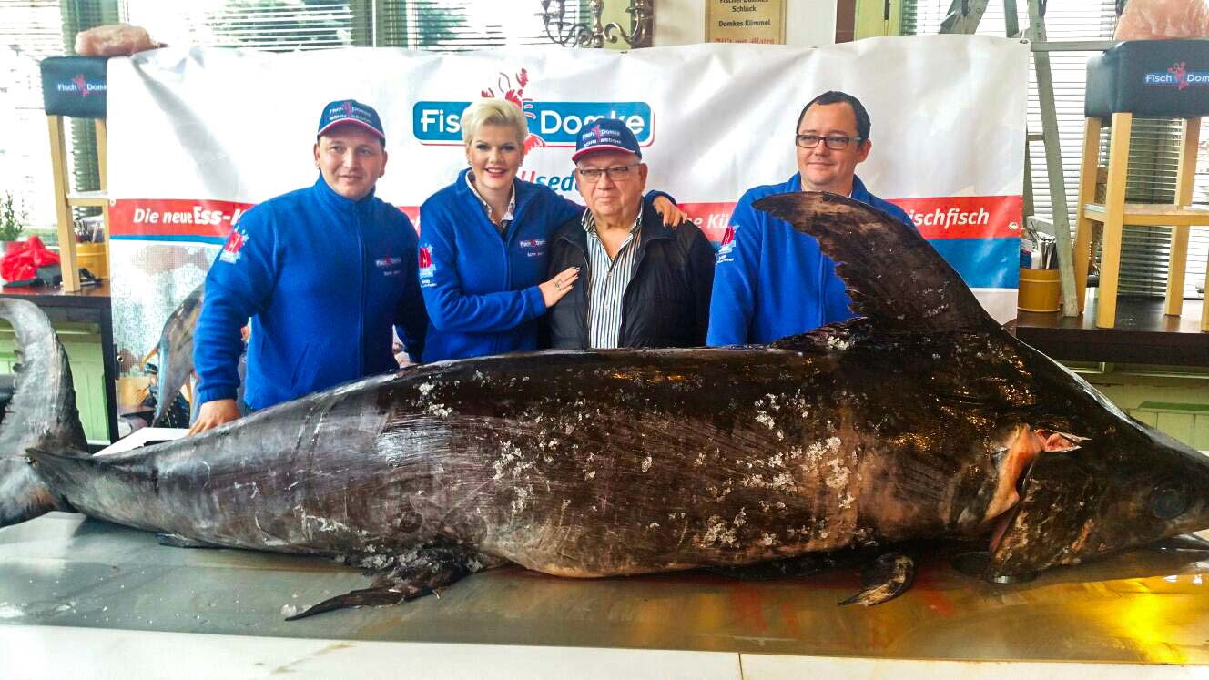 Größter Schwertfisch Deutschlands bei Fisch Domke | Usedomer Fisch im ...
